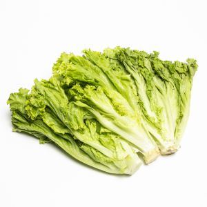Lettuce