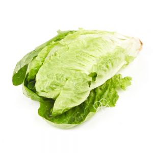 Lettuce