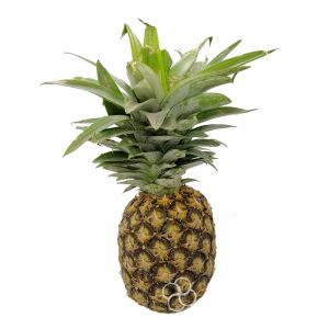 Pineapples