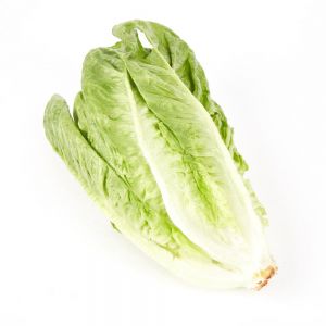 Lettuce